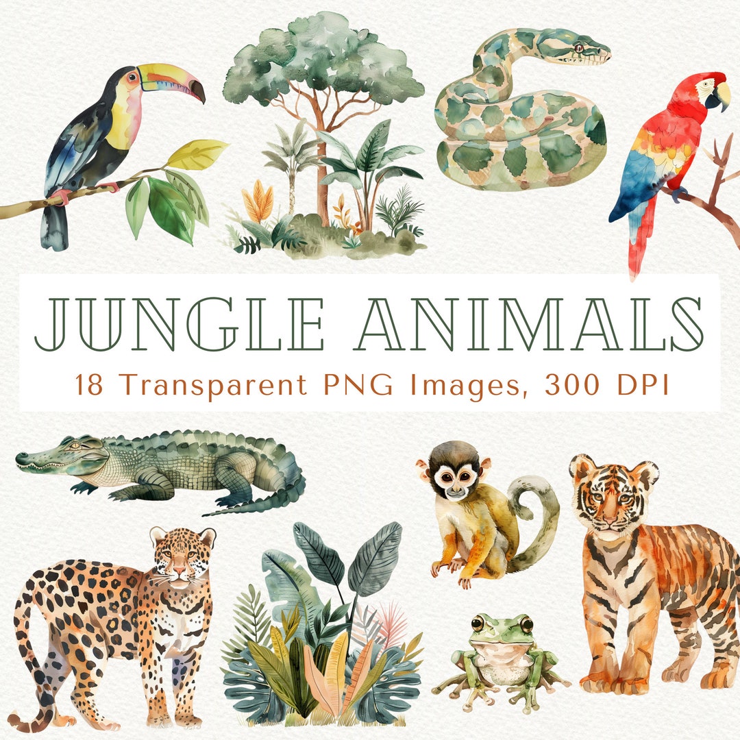 Jungle Clipart, Jungle Animals Clipart, Safari Clipart, Jungle Animals ...