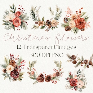 Christmas Flower Clipart, Poinsettia Clipart, Winter Floral Clipart ...