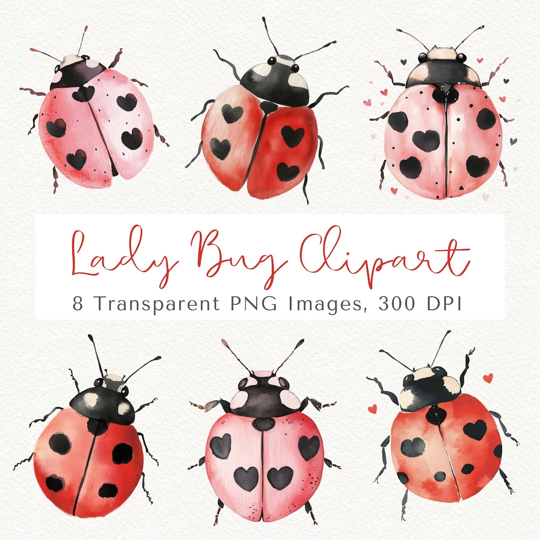 Ladybug Clipart, Ladybug PNG, Bug Clipart, Insect Clipart, Cute Ladybug, Cute Ladybugs, Summer ...