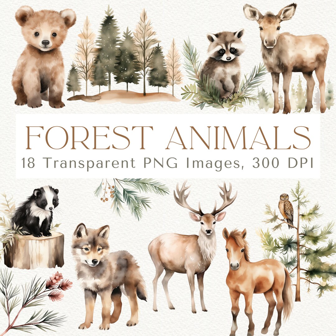Watercolor Forest Animal Clipart: Woodland PNG Images (digital Download ...