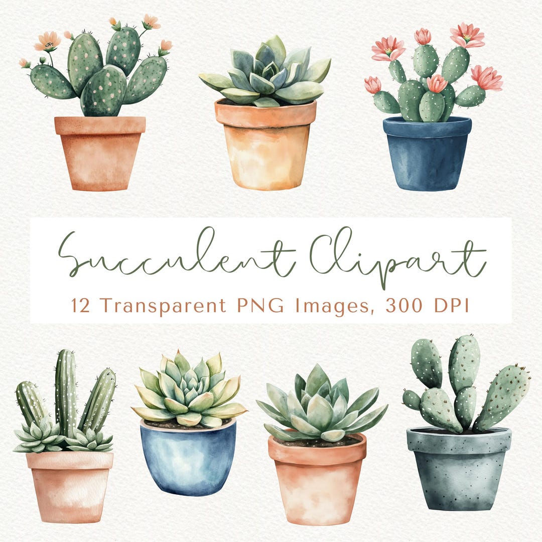Succulent & Cactus Clipart: Botanical PNG Images (digital Download) - Etsy