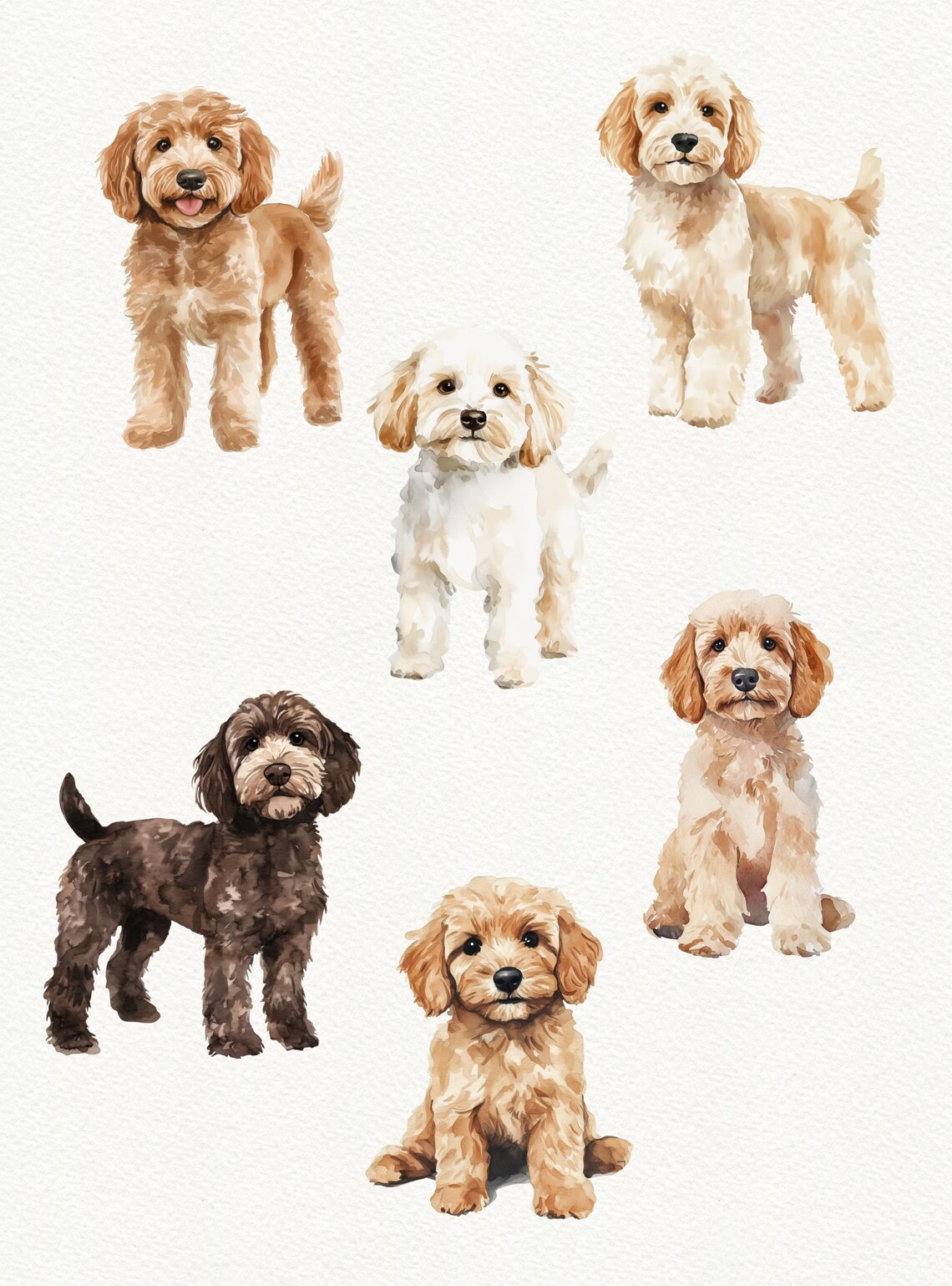 Goldendoodle Watercolor Clipart, 12 Dog PNG Images (digital Download ...