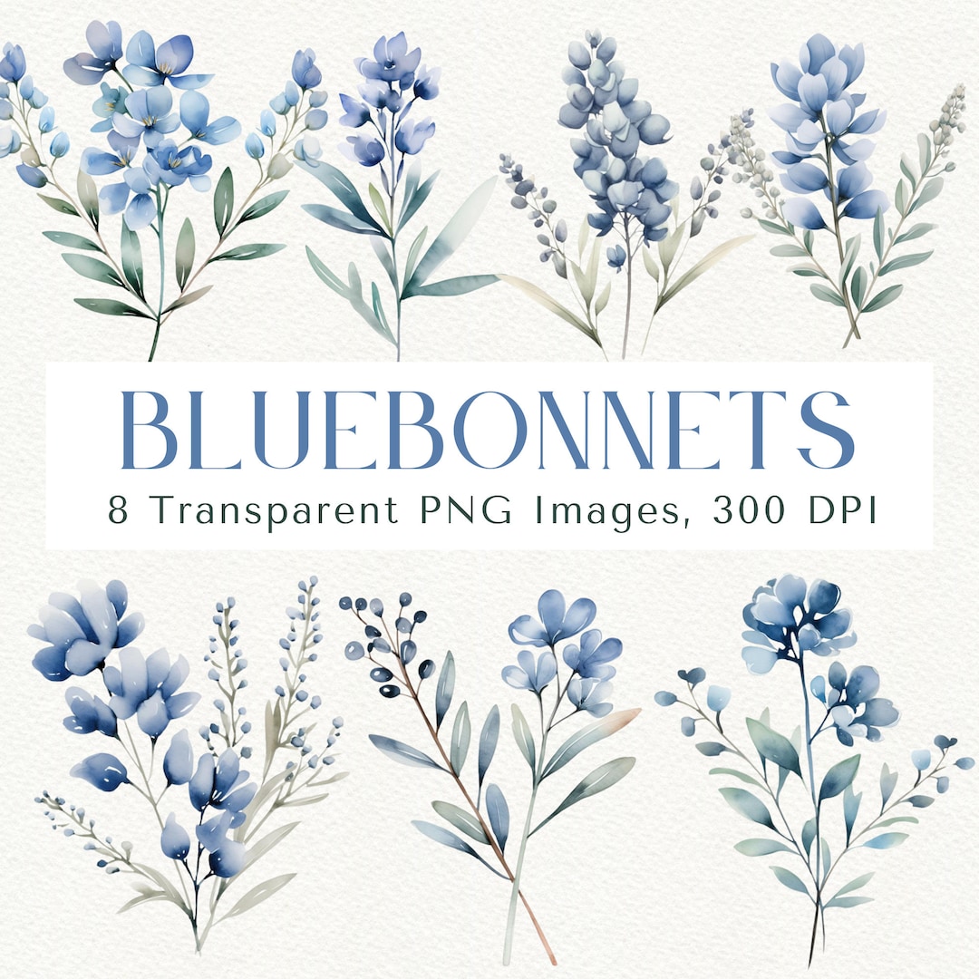 Bluebonnet Clipart, Texas Bluebonnets, Spring Flowers Clipart ...