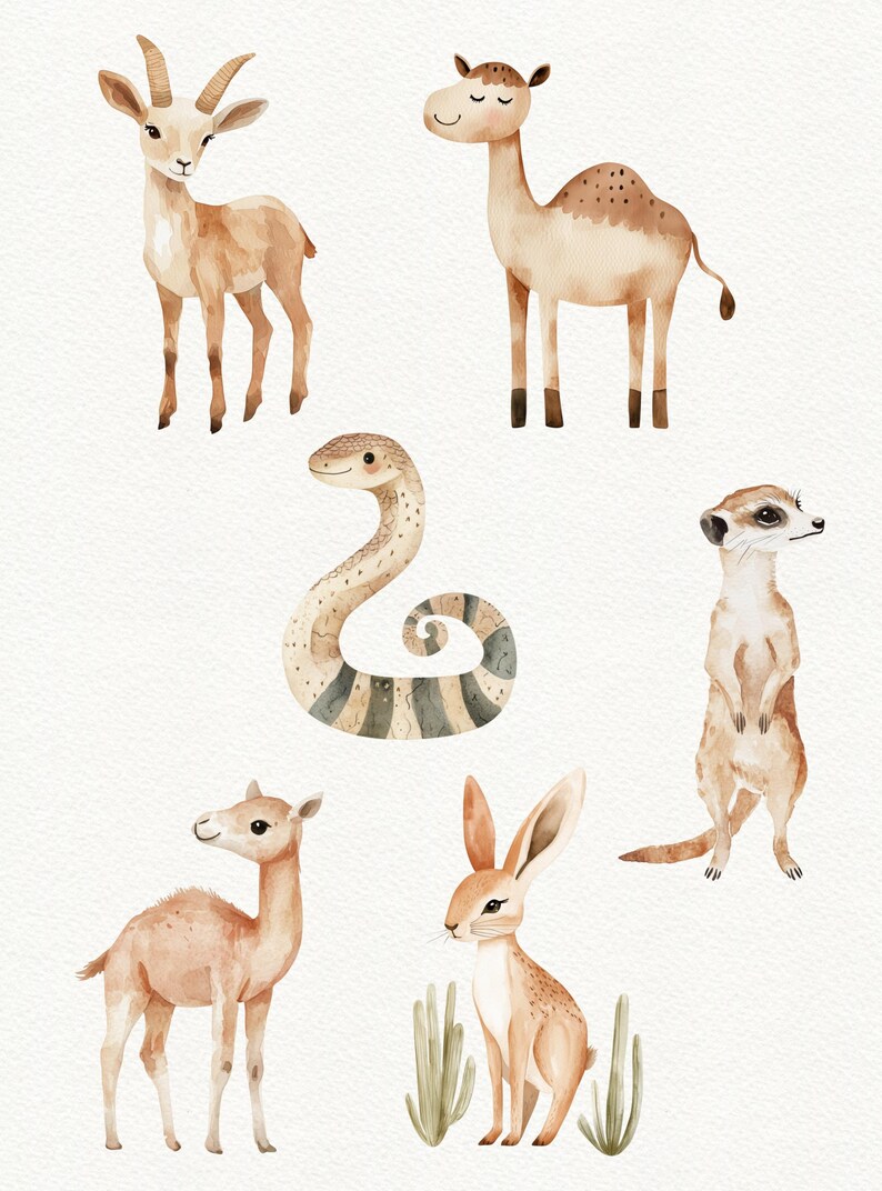 Boho Desert Animal Clipart: 12 PNG Images (300 DPI) - Etsy