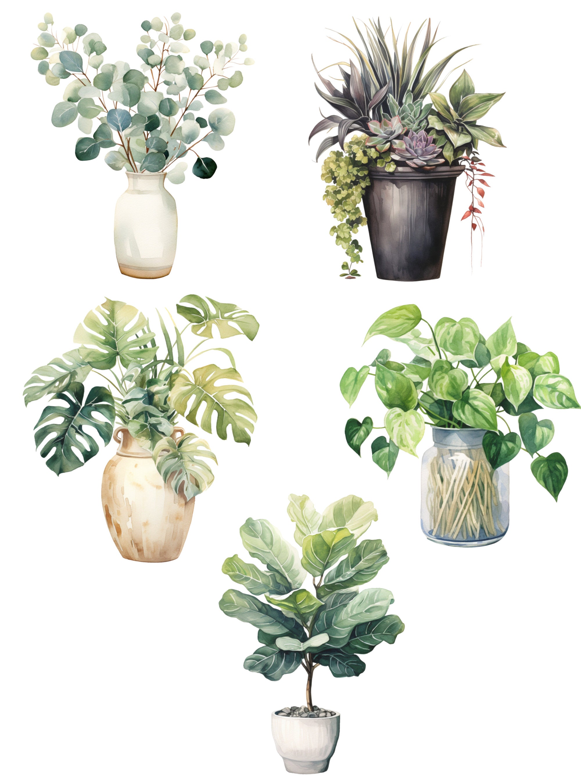 Potted Plants Clipart, House Plants Clipart, Greenery Clipart ...