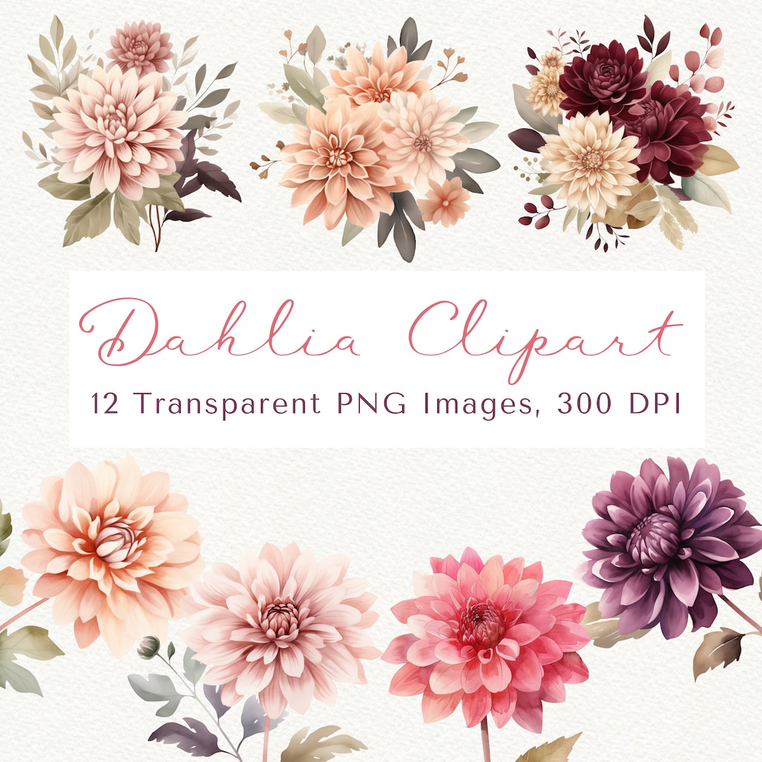 Dahlia Clipart, Watercolor Floral Clipart, Boho Flower Clipart, Dahlia ...