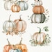 Watercolor Pumpkin Clipart: Boho Floral Fall PNG (10 Images) - Etsy
