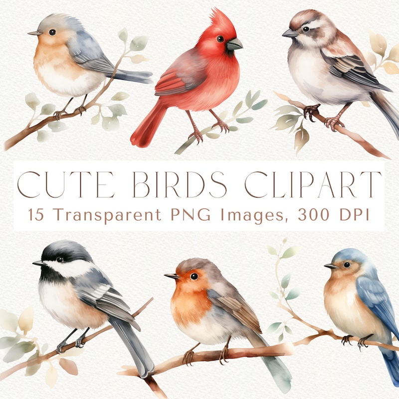 Winter Birds - Etsy