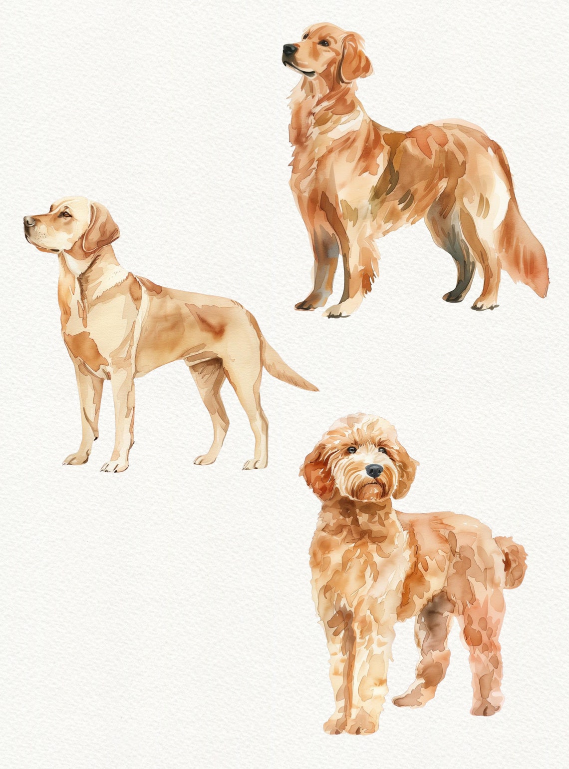 Dog Breeds Clipart: 18 Watercolor Puppy PNG Images (300 DPI) - Etsy