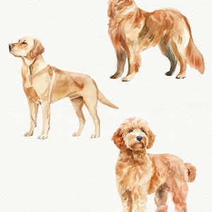 Dog Breeds Clipart: 18 Watercolor Puppy PNG Images (300 DPI) - Etsy