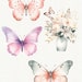 Butterfly Clipart, Boho Butterfly Clipart, Butterfly Clipart PNG ...