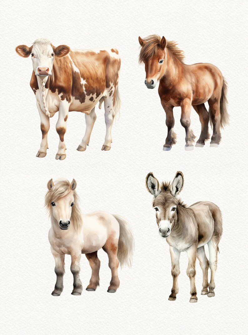 Watercolor Farm Animals Clipart: Highland Cow, Pony, Goat (PNG) - Etsy
