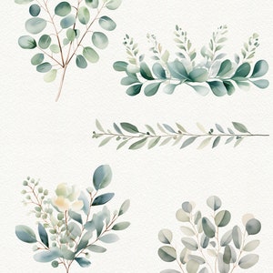 Watercolor Eucalyptus Clipart: Greenery PNG Images (digital Download ...