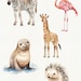 Watercolor Zoo Animal Clipart: Safari Animals PNG Images (digital ...