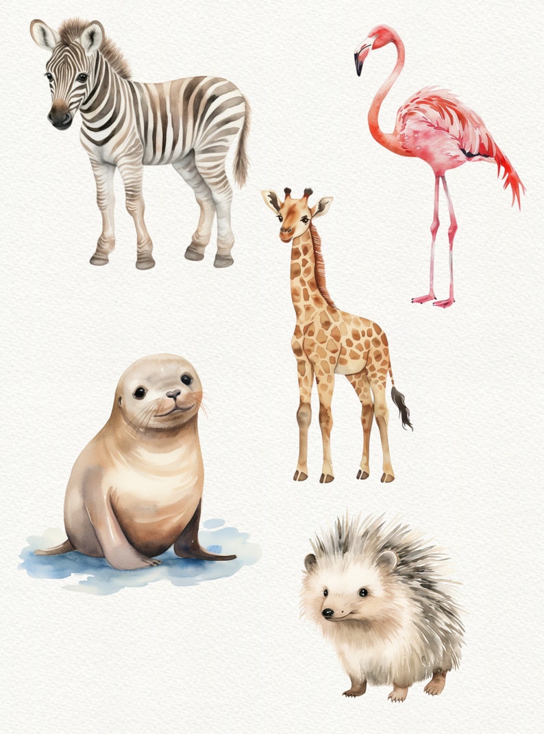 Watercolor Zoo Animal Clipart: Safari Animals PNG Images (digital ...