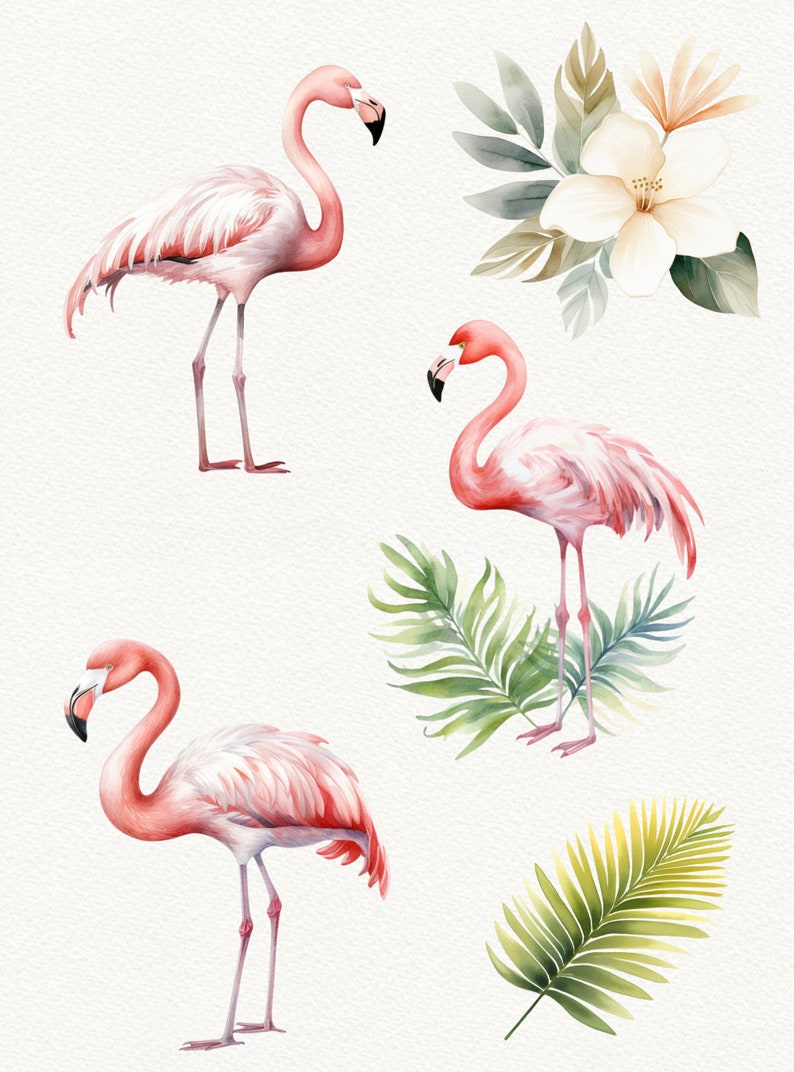 Flamingo Clipart: Tropical Flowers & Palm Leaves (14 PNG Images) - Etsy