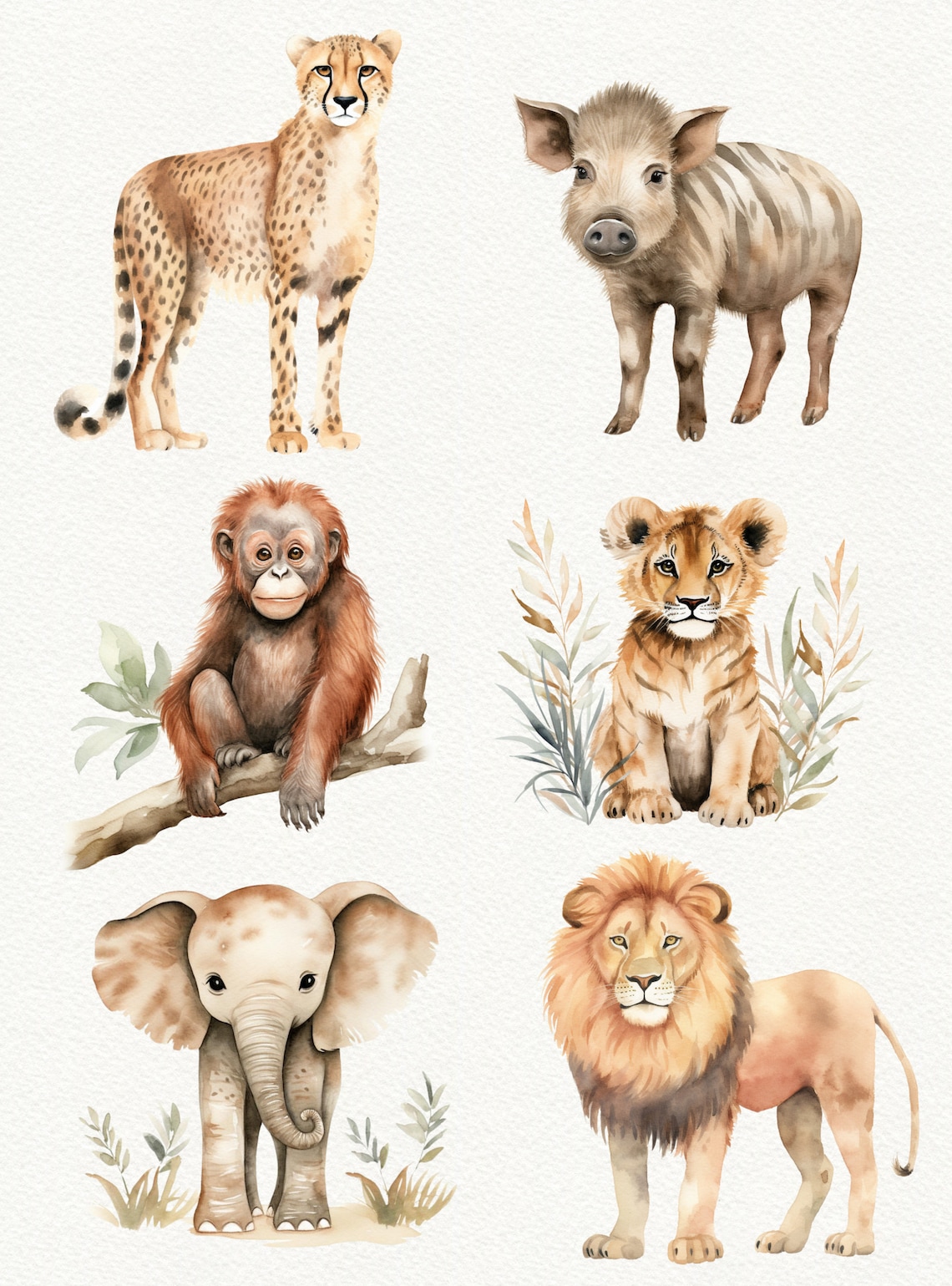 Watercolor Zoo Animal Clipart: Safari Animals PNG Images (digital ...