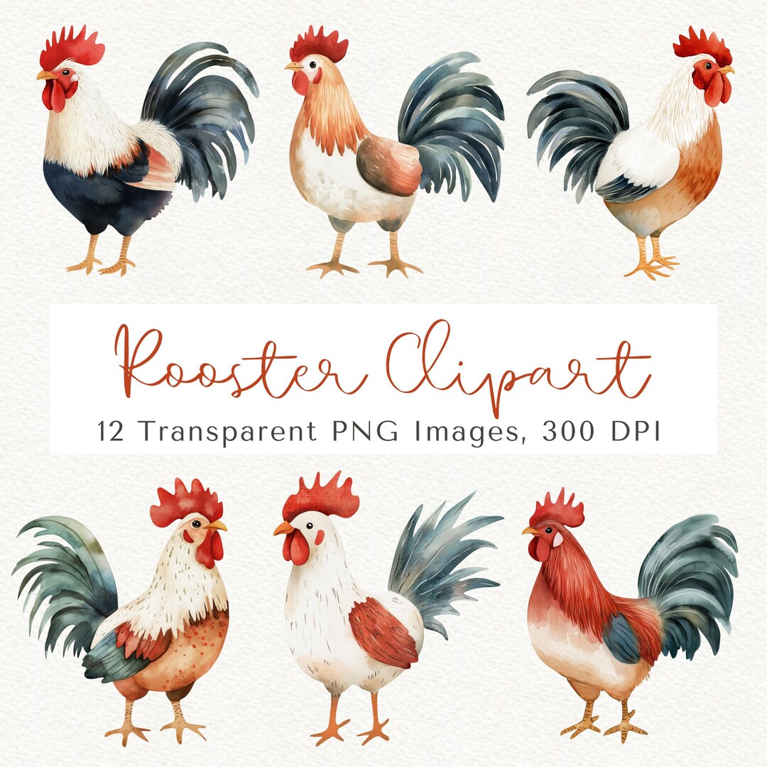 Rooster Clipart, Rooster PNG, Chicken Clipart, Rooster Images, Chicken ...