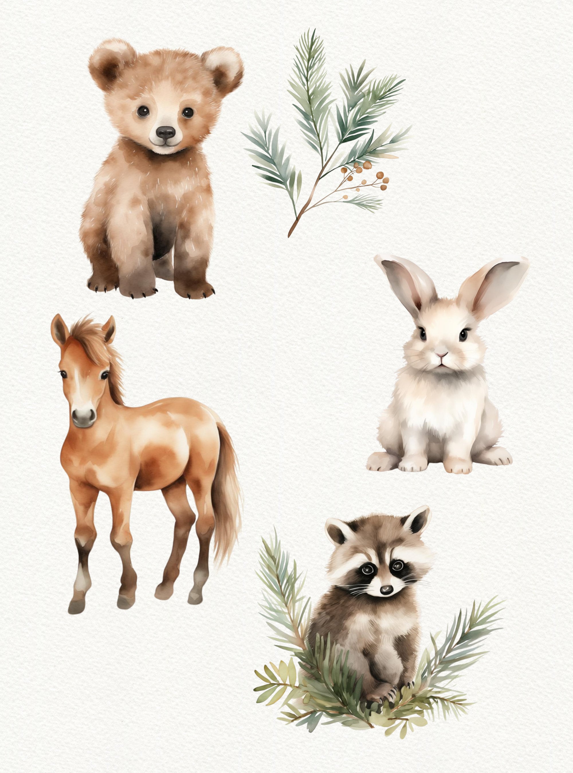 Watercolor Forest Animal Clipart: Woodland PNG Images (digital Download ...