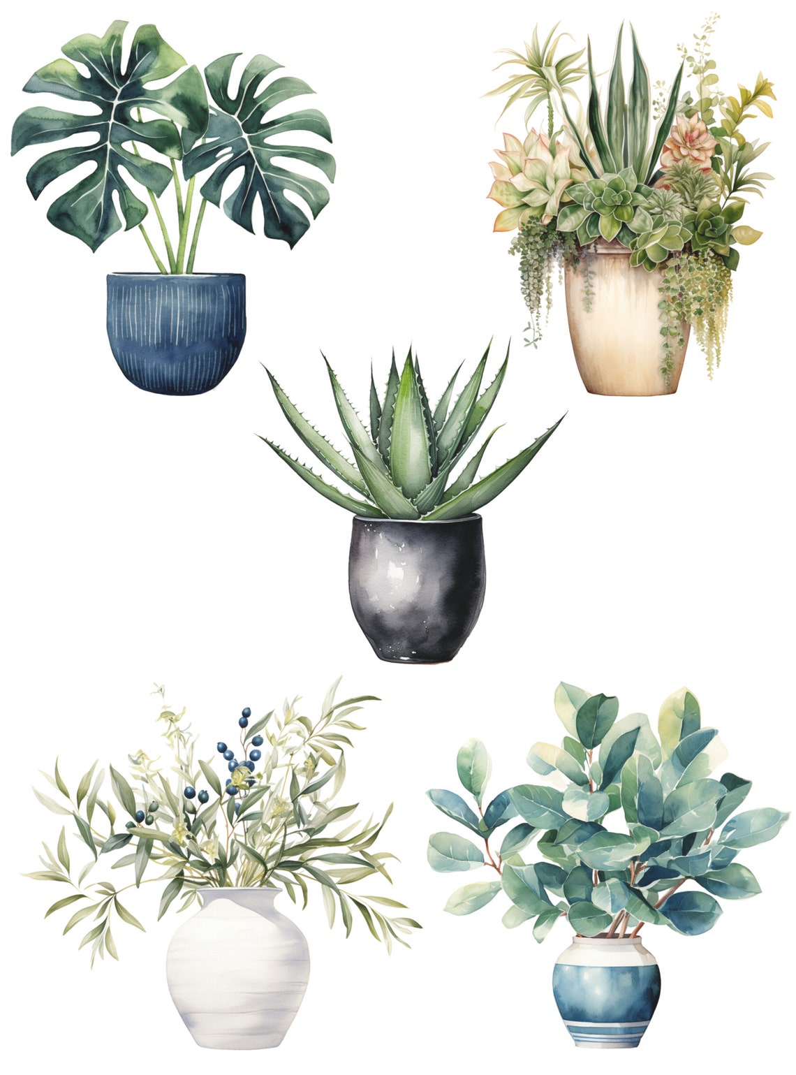 Potted Plants Clipart, House Plants Clipart, Greenery Clipart ...