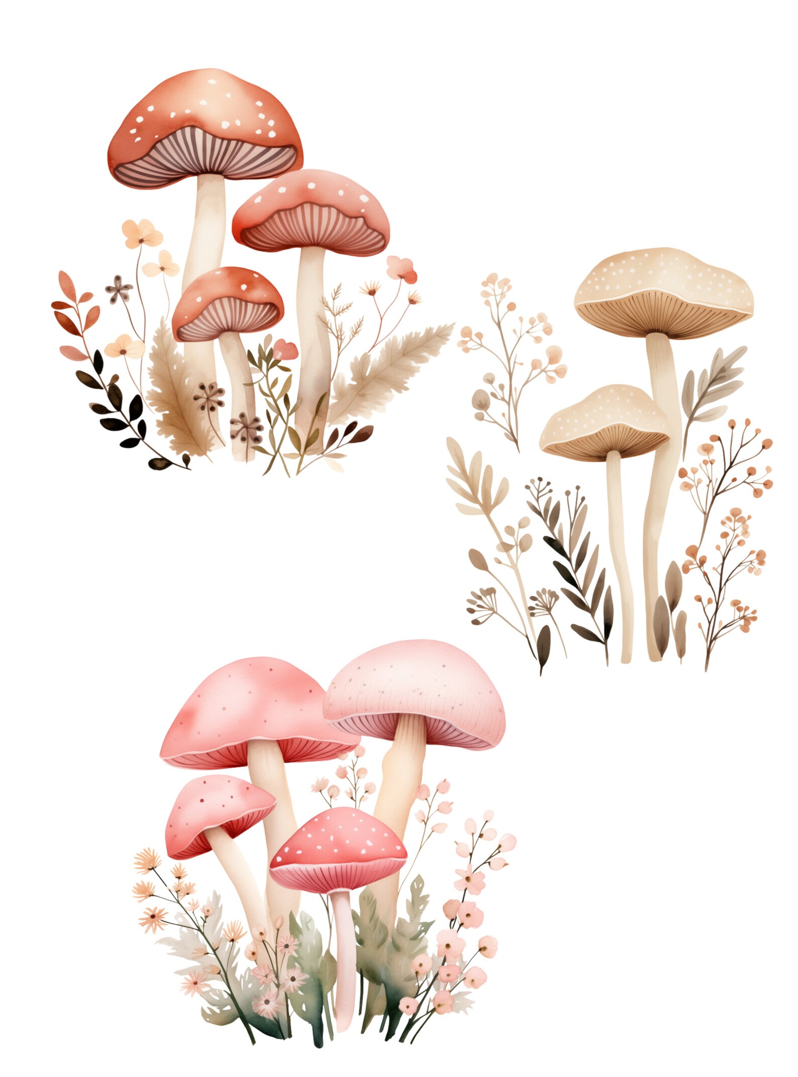 Watercolor Mushroom Clipart, Wild Mushroom Clipart, Floral Mushroom PNG ...