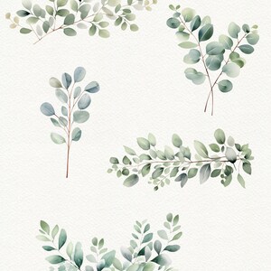 Watercolor Eucalyptus Clipart: Greenery PNG Images (digital Download ...