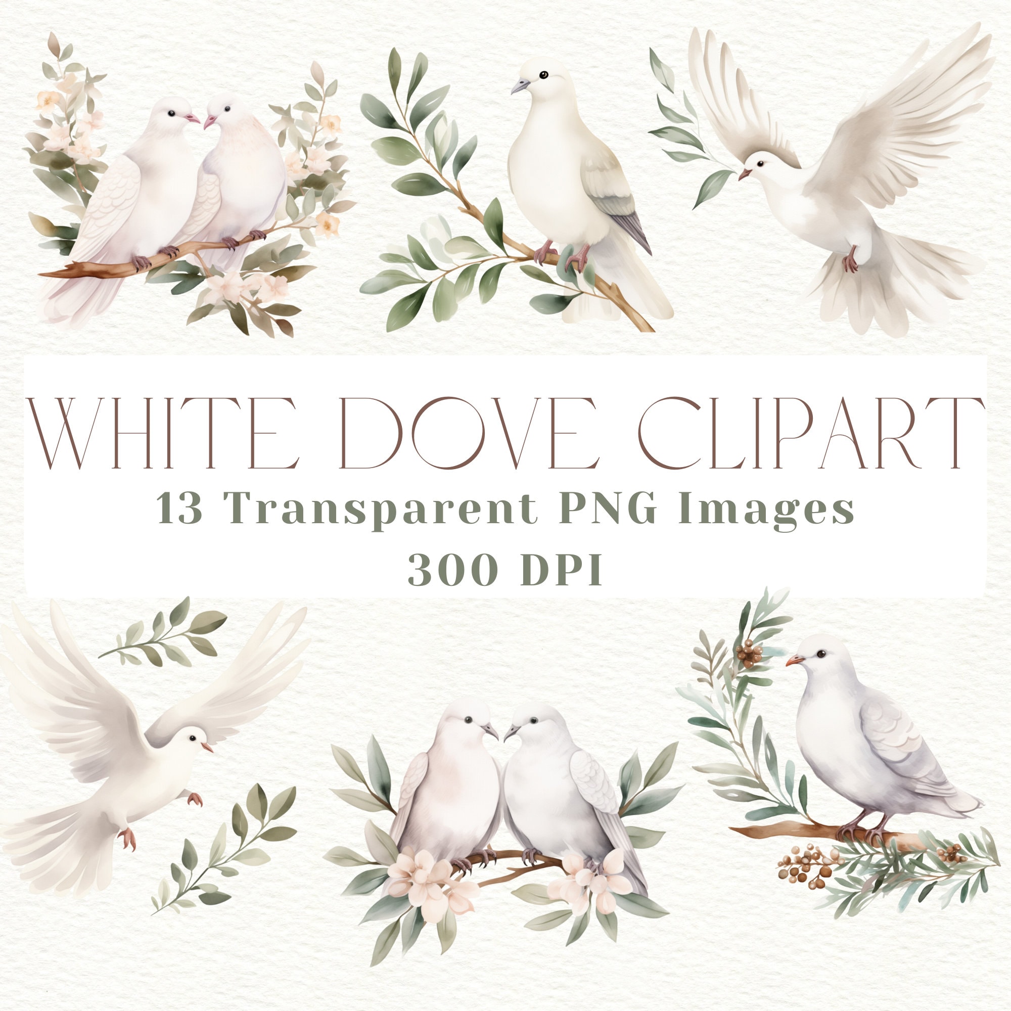 Dove Clipart, White Dove PNG, Doves Clipart, Dove With Olive Branch ...