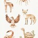Boho Desert Animal Clipart: 12 PNG Images (300 DPI) - Etsy