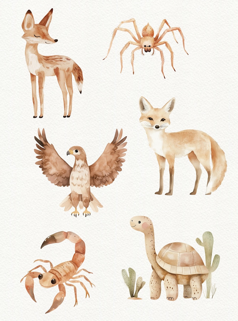 Boho Desert Animal Clipart: 12 PNG Images (300 DPI) - Etsy