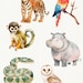 Jungle Clipart, Jungle Animals Clipart, Safari Clipart, Jungle Animals ...