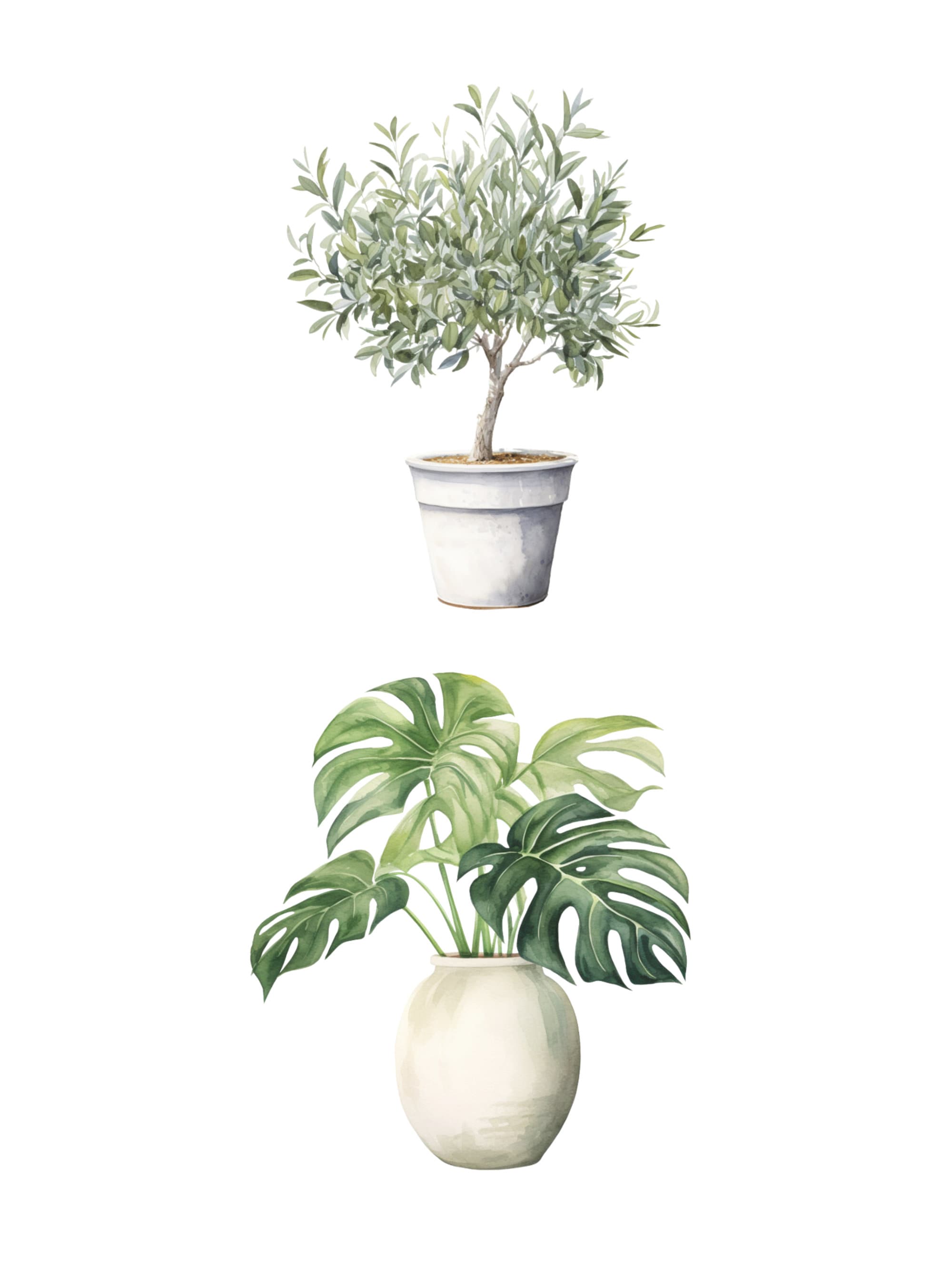 Potted Plants Clipart, House Plants Clipart, Greenery Clipart ...