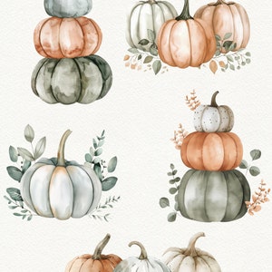 Watercolor Pumpkin Clipart: Boho Floral Fall PNG (10 Images) - Etsy