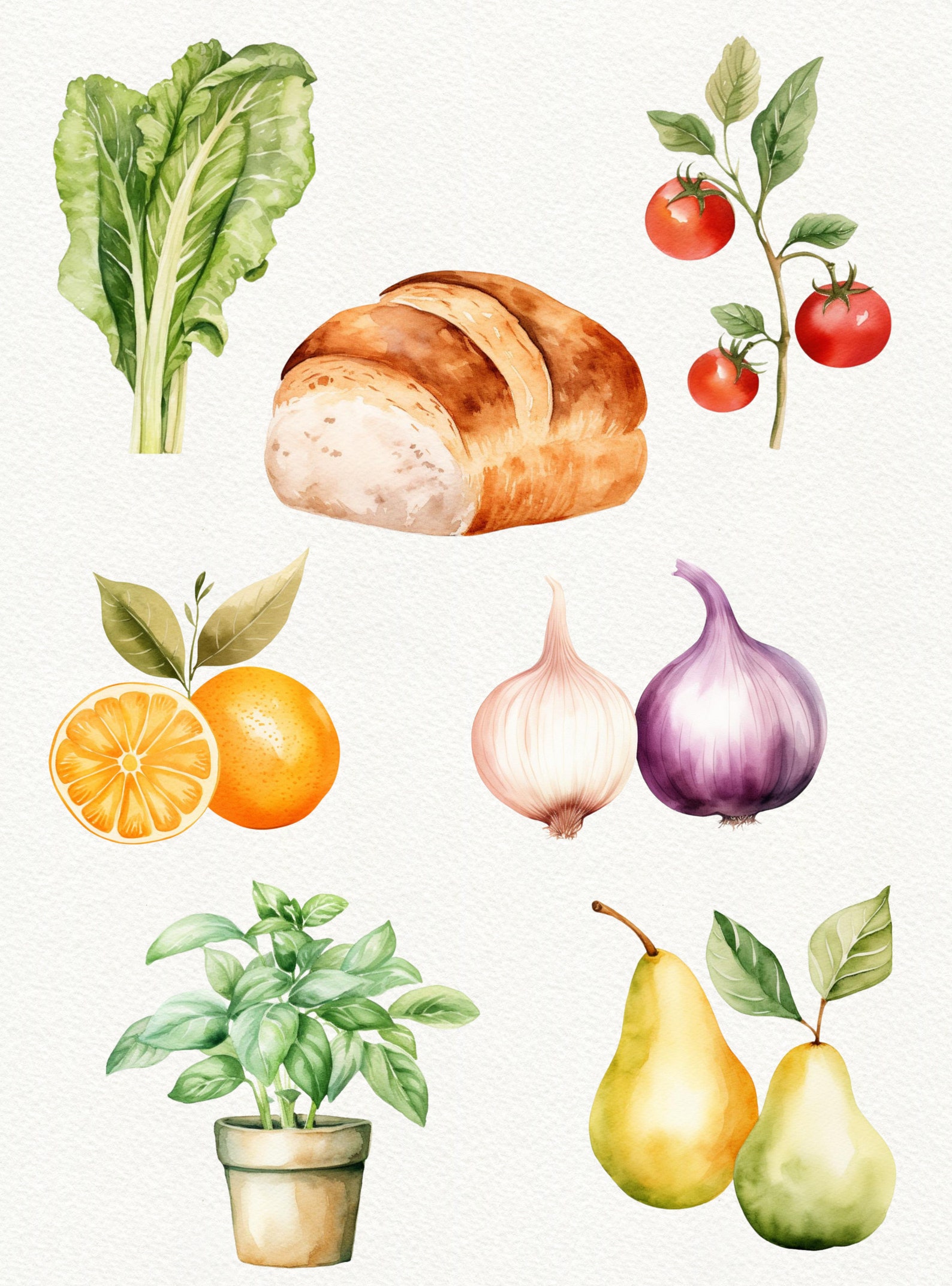 Watercolor Farmers Market Clipart: Fruit, Veggies, Flowers (PNG) - Etsy