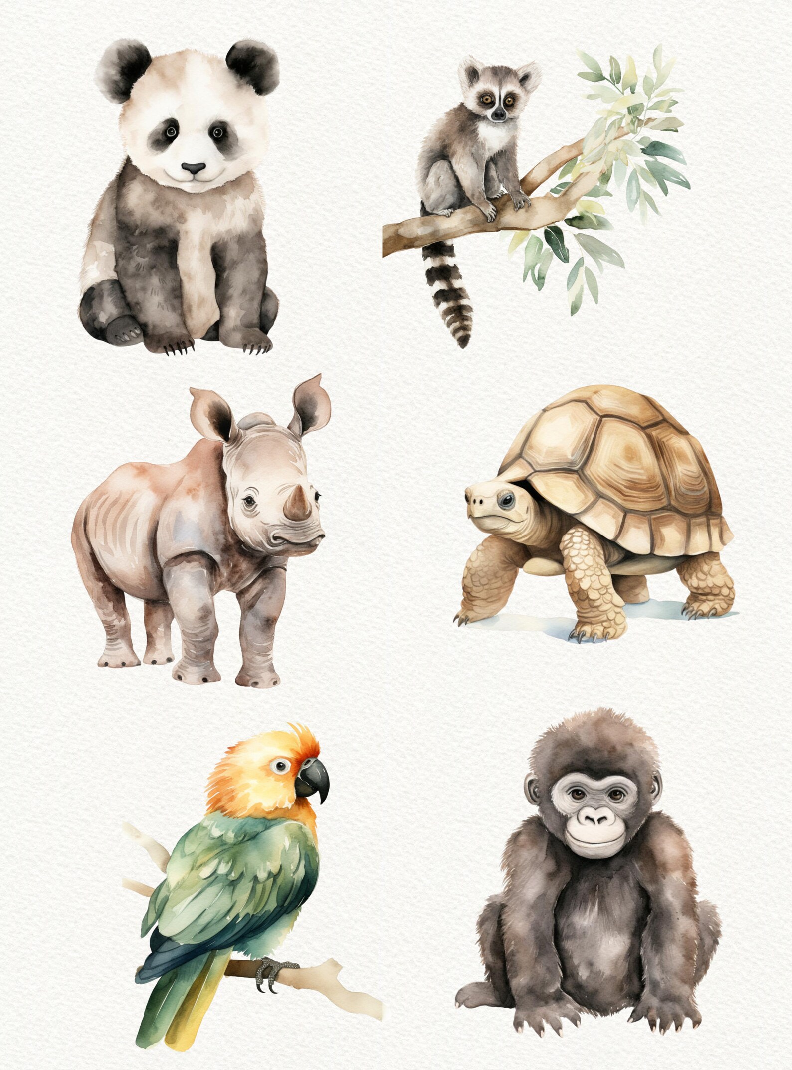 Watercolor Zoo Animal Clipart: Safari Animals PNG Images (digital ...