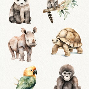 Watercolor Zoo Animal Clipart: Safari Animals PNG Images (digital ...
