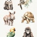 Watercolor Zoo Animal Clipart: Safari Animals PNG Images (digital ...