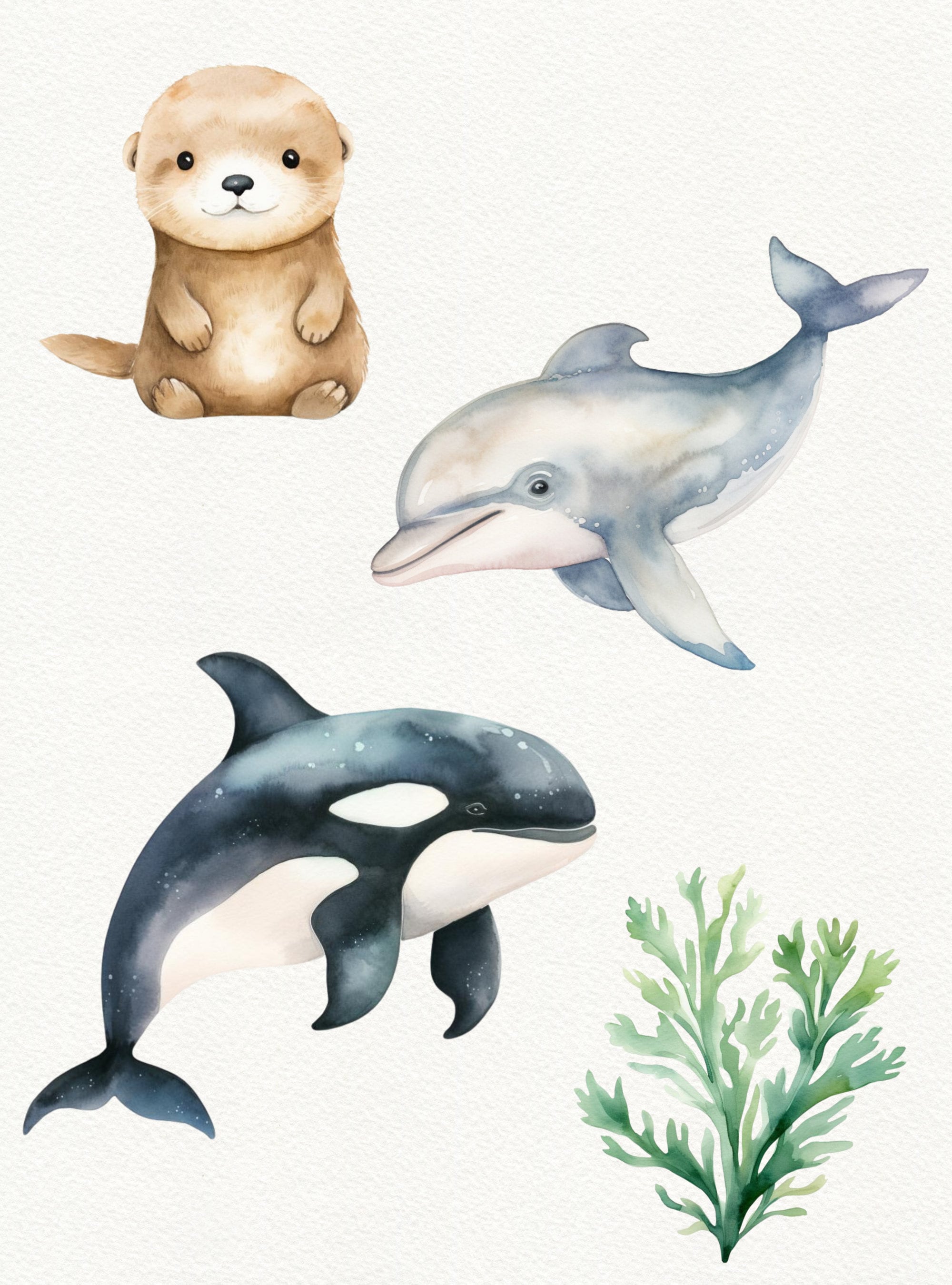 Watercolor Sea Life Clipart: Ocean Animals, Whales, Coral (PNG Digital ...