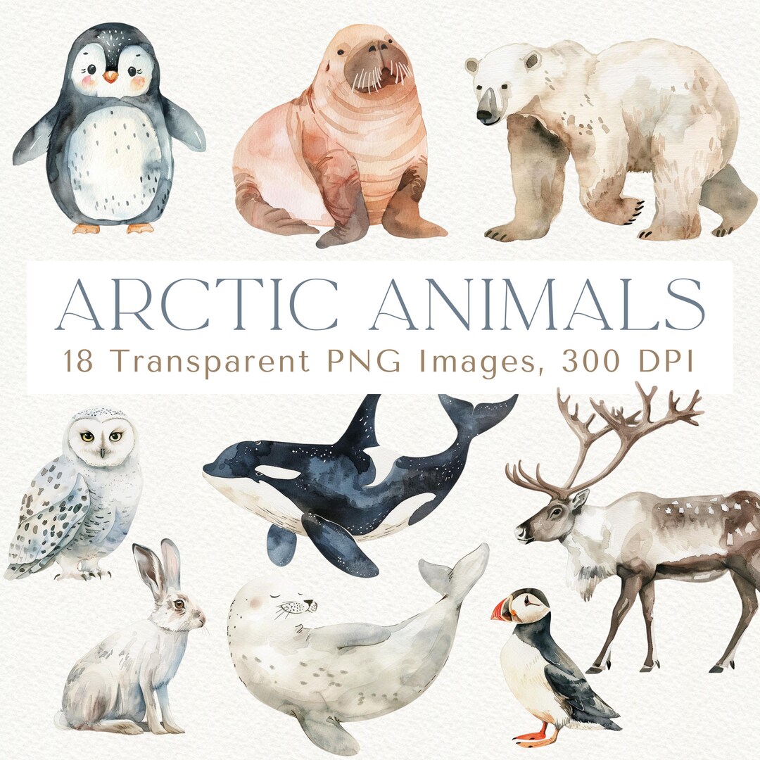 Watercolor Arctic Animal Clipart: Winter PNG Images (300 DPI) - Etsy