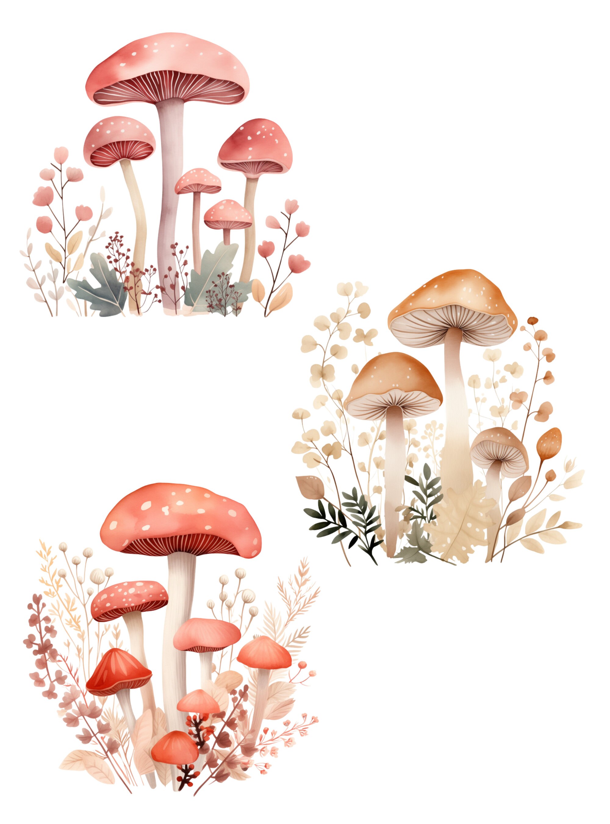 Watercolor Mushroom Clipart, Wild Mushroom Clipart, Floral Mushroom PNG ...