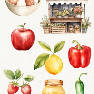 Farmers Market PNG, Farmers Market Clipart, Vegetable Clipart, Fruit ...