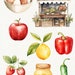 Watercolor Farmers Market Clipart: Fruit, Veggies, Flowers (PNG) - Etsy
