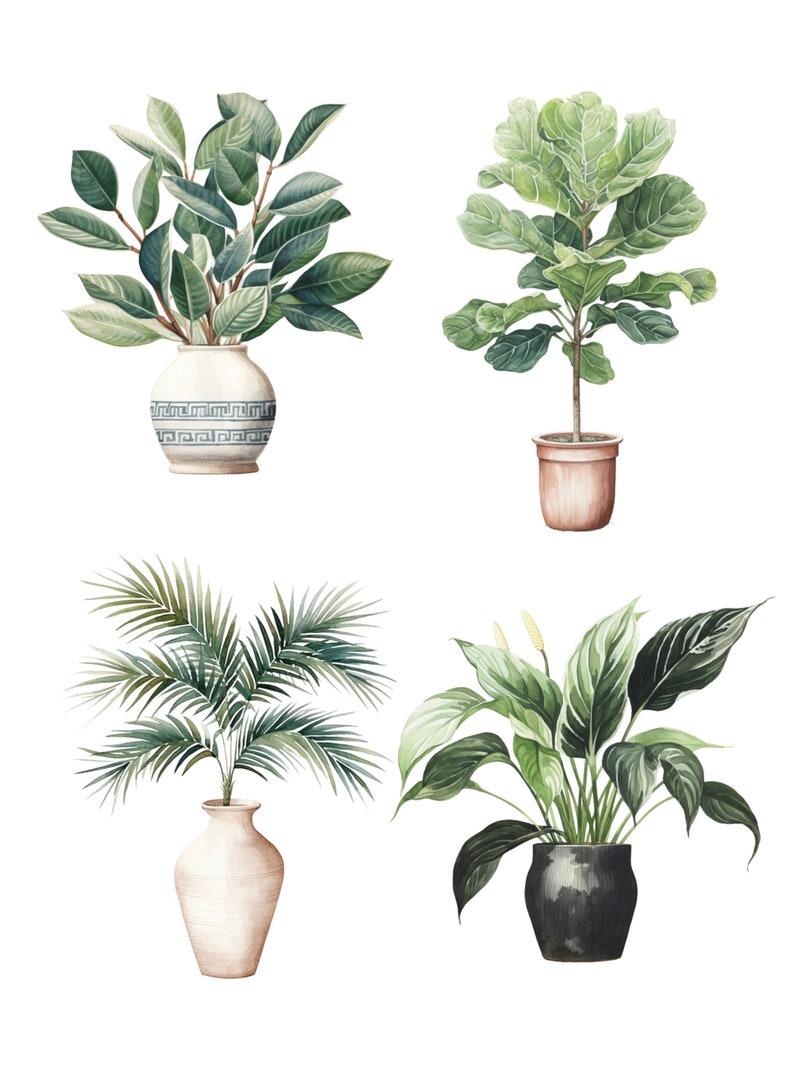 Potted Plants Clipart, House Plants Clipart, Greenery Clipart ...