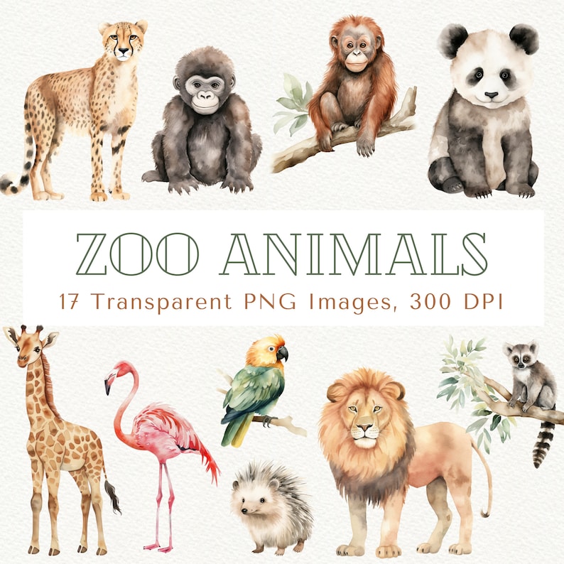 Watercolor Zoo Animal Clipart: Safari Animals PNG Images (digital ...