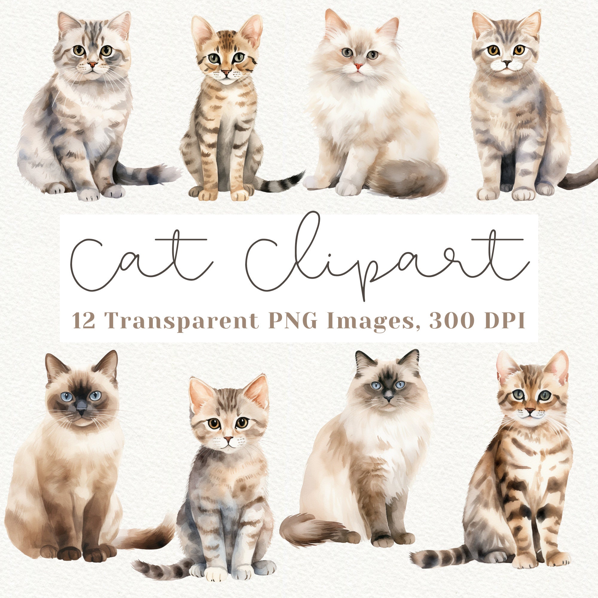 Watercolor Cat Breed Clipart: 12 PNG Images (digital Download) - Etsy