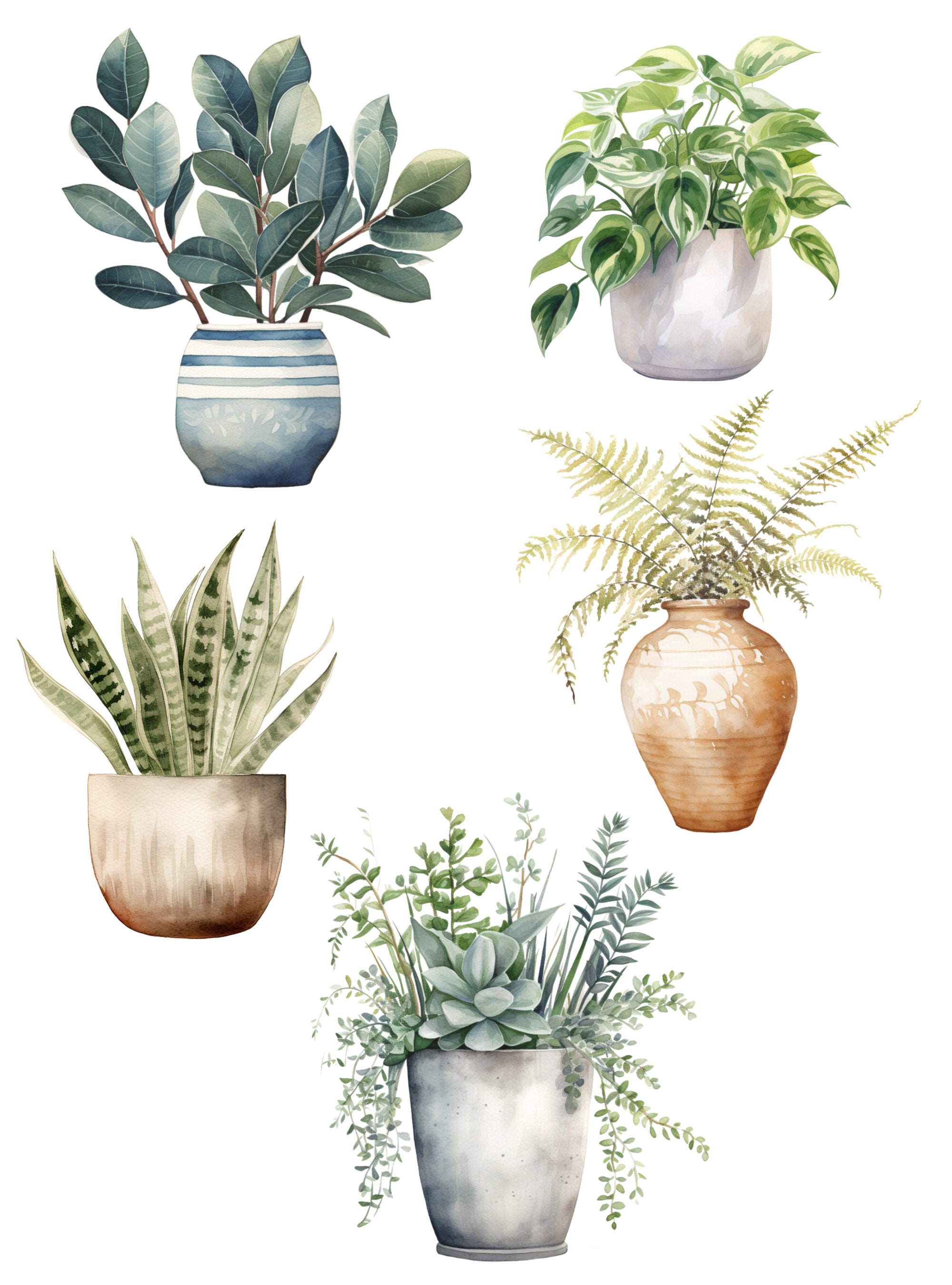 Potted Plants Clipart, House Plants Clipart, Greenery Clipart ...