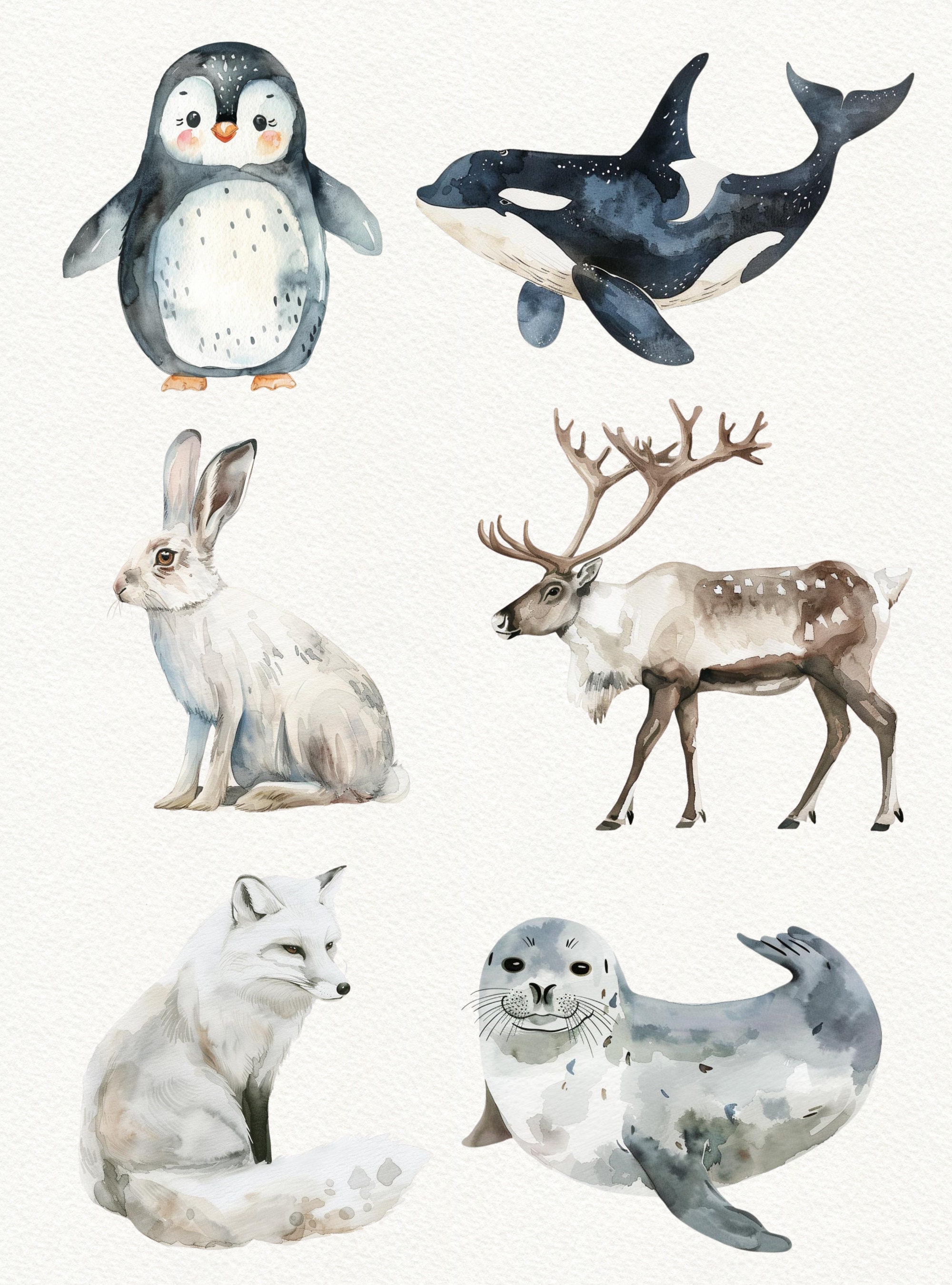 Watercolor Arctic Animal Clipart: Winter PNG Images (300 DPI) - Etsy