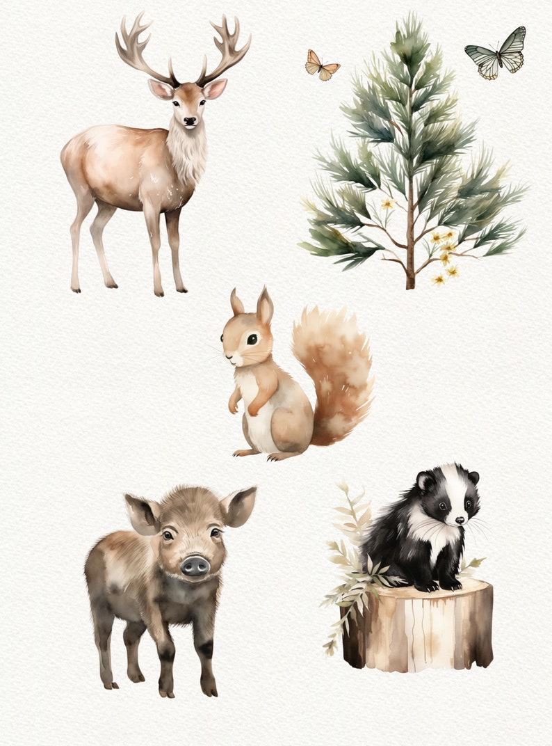 Watercolor Forest Animal Clipart: Woodland PNG Images (digital Download ...