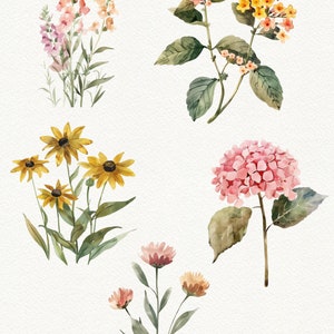 Summer Flowers, Flower Clipart, Summer Clipart, Sunflower Clipart ...