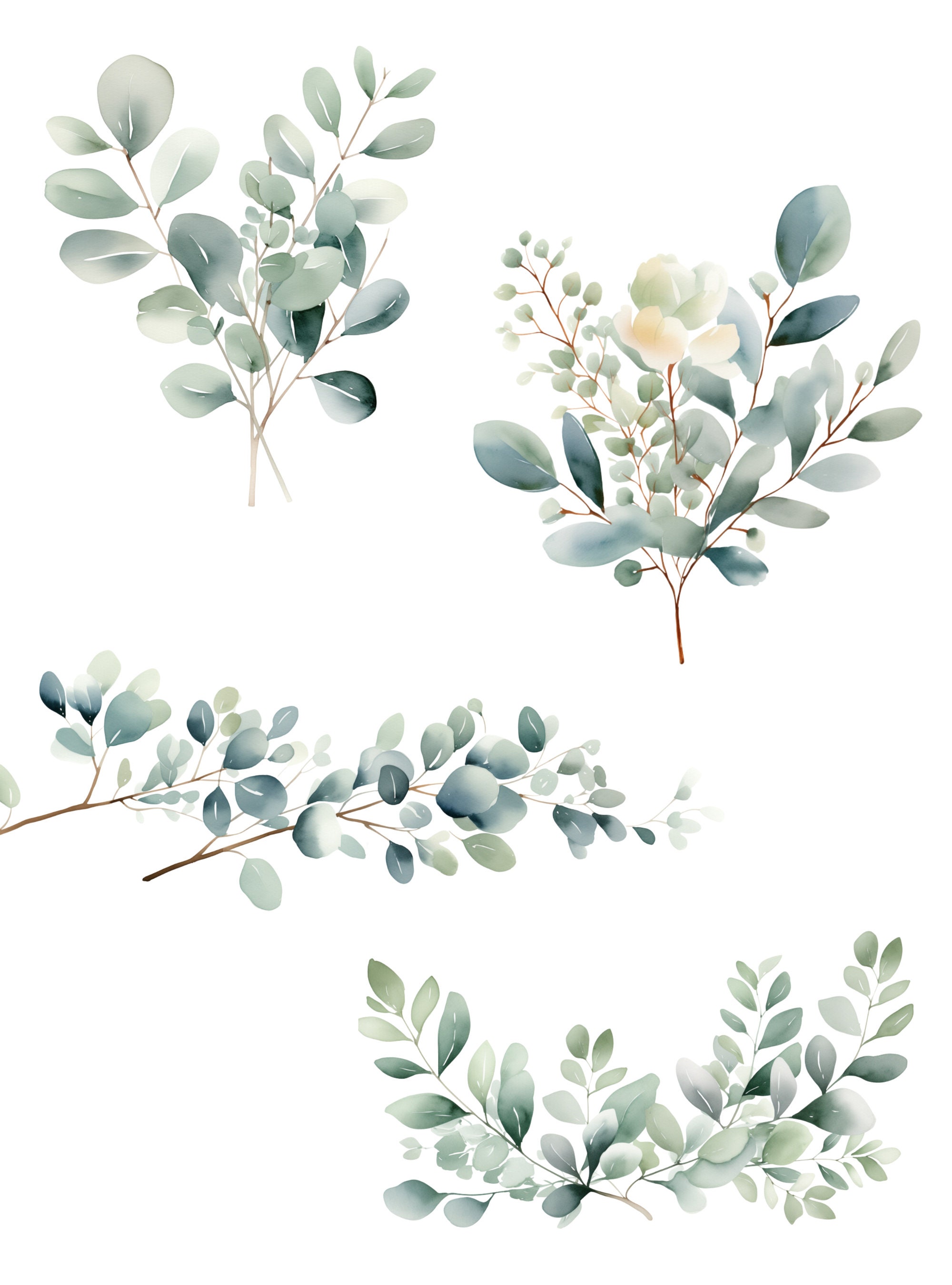 Eucalyptus Clipart Eucalyptus Leaves Clipart Eucalyptus - Etsy