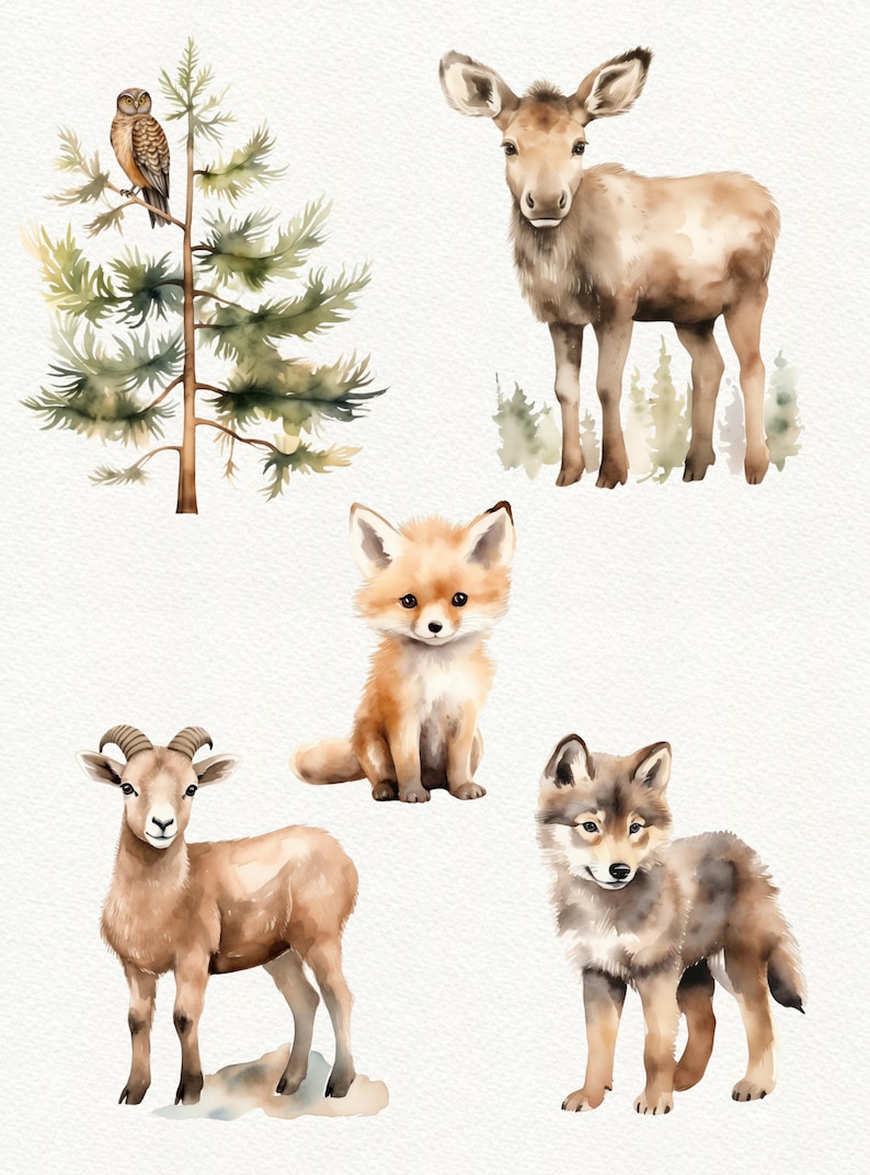 Watercolor Forest Animal Clipart: Woodland PNG Images (digital Download ...